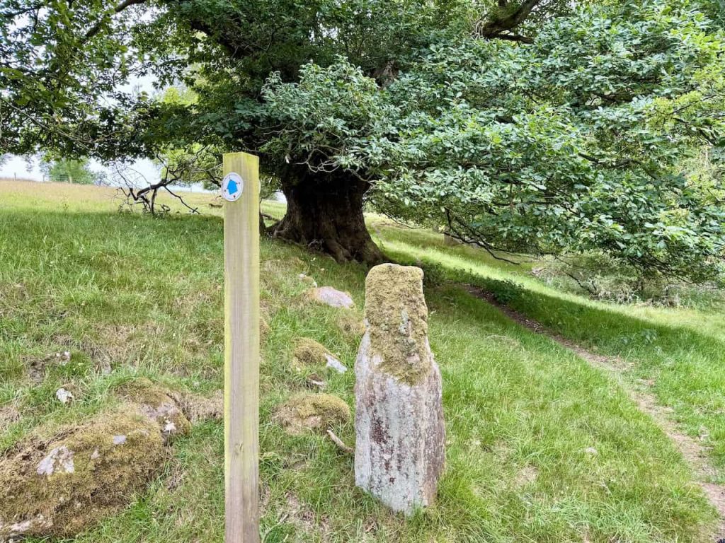 Yorkshire Moors Walk: Masham Moor, Dale Edge and Colsterdale