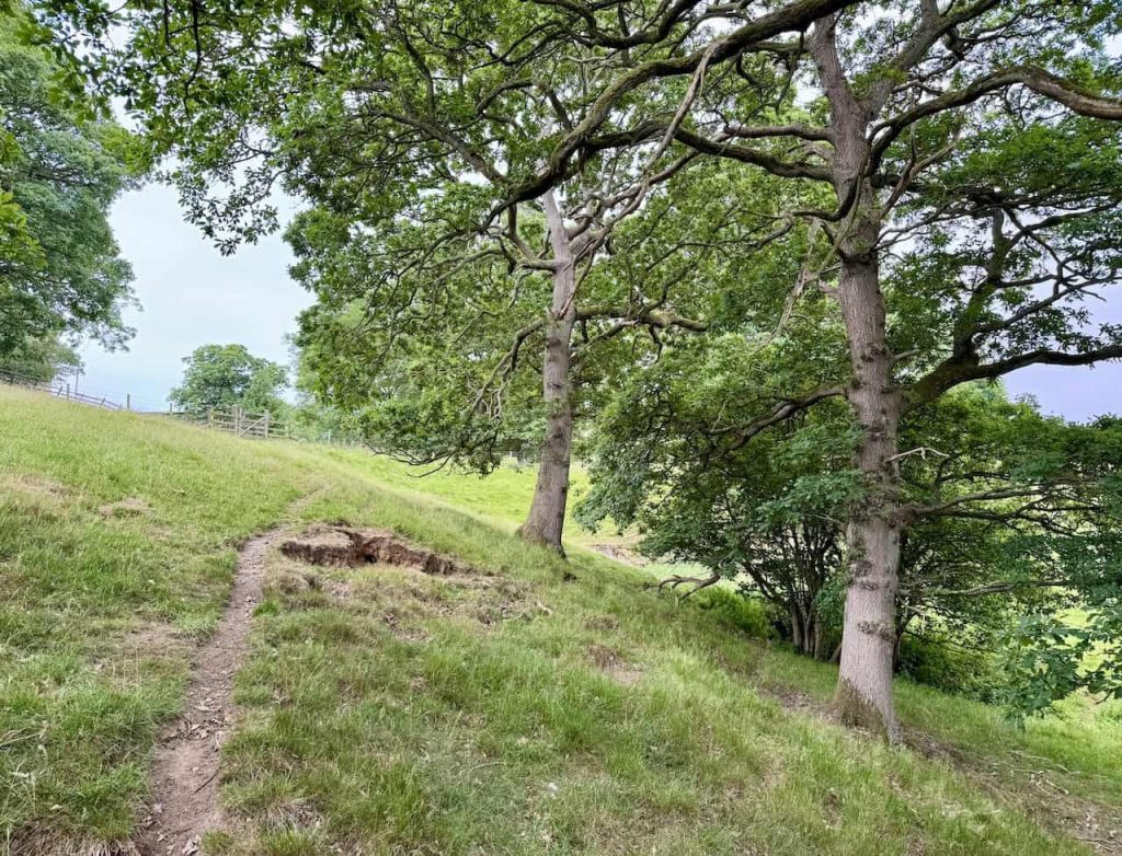 Yorkshire Moors Walk: Masham Moor, Dale Edge and Colsterdale