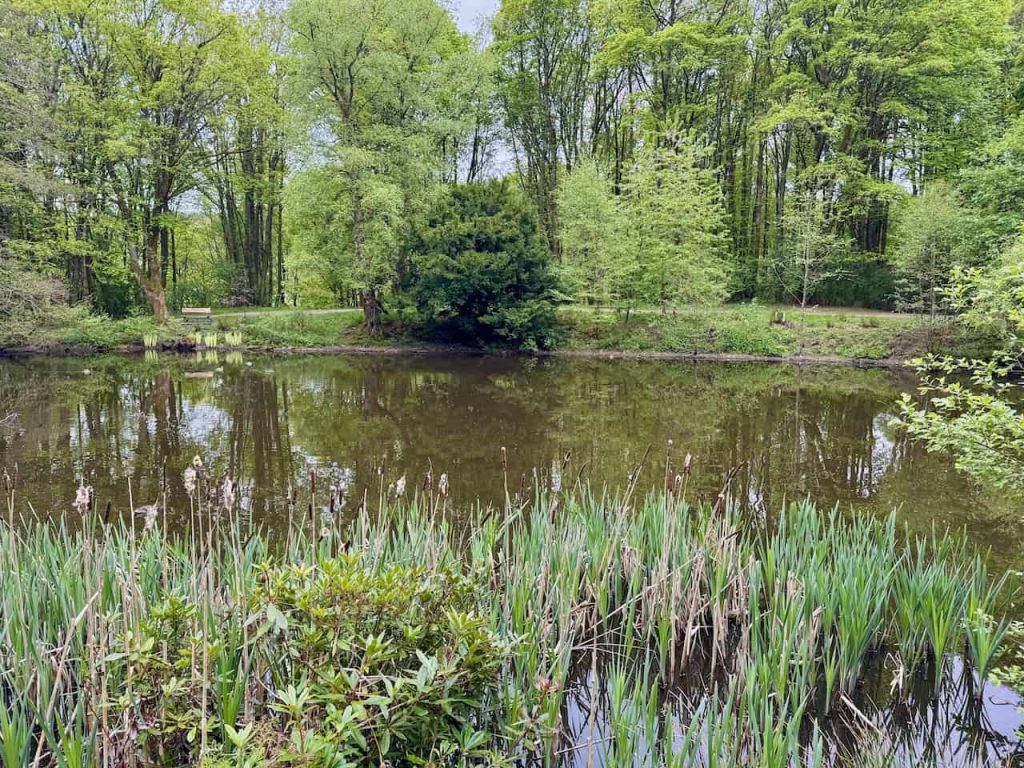 North Yorkshire Walks: 20 Brilliant Walking Routes with Free PDFs