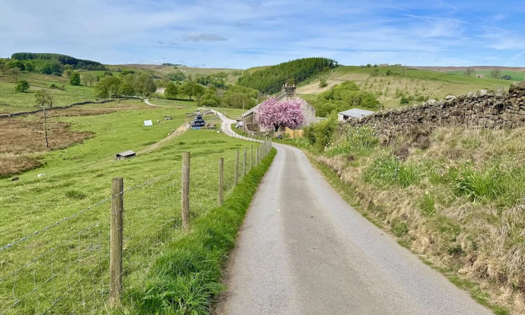 North Yorkshire Walks: 20 Brilliant Walking Routes with Free PDFs