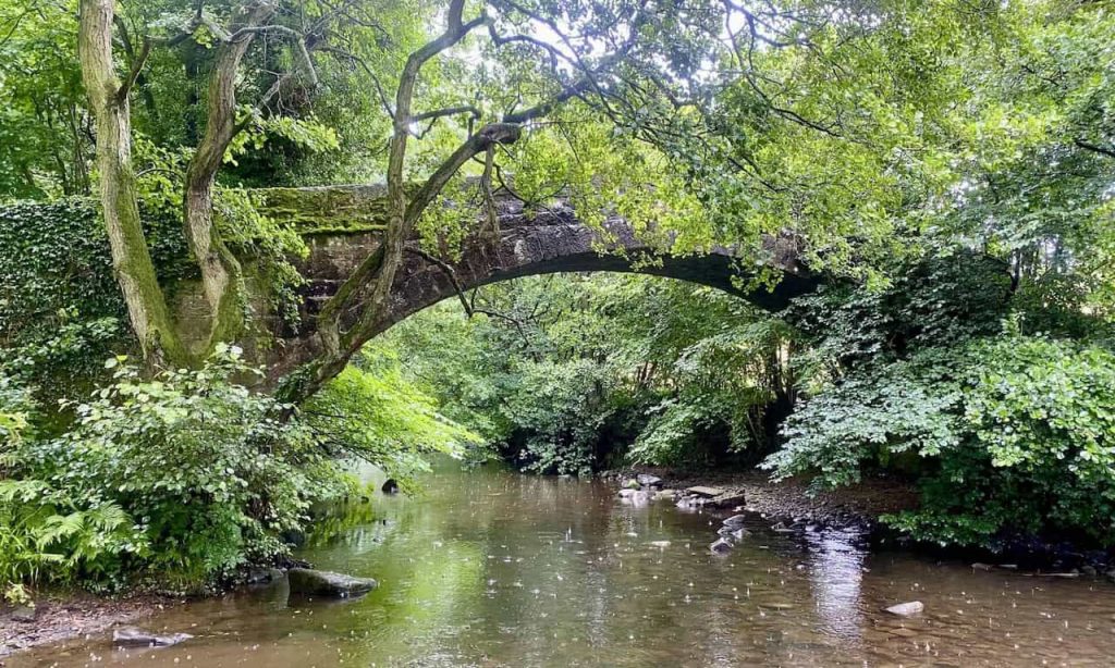 Swinsty and Fewston Reservoir Walks: Four Walks in Nidderdale